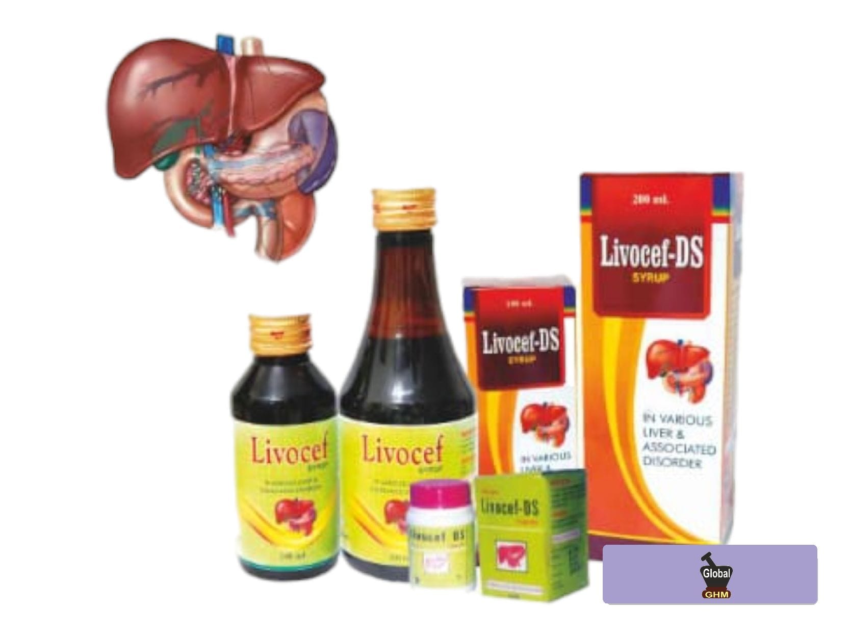 LIVOCEF DS SYP (GHM) | Global Health Medicare